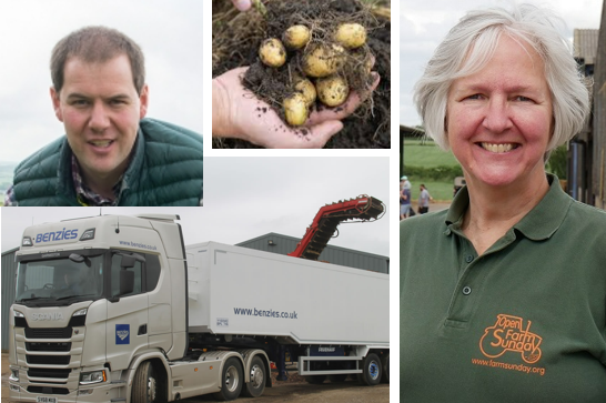 FARM'S FIRST OPEN-GATES EVENT GIVES PUBLIC AN INSIGHT INTO POTATO ...