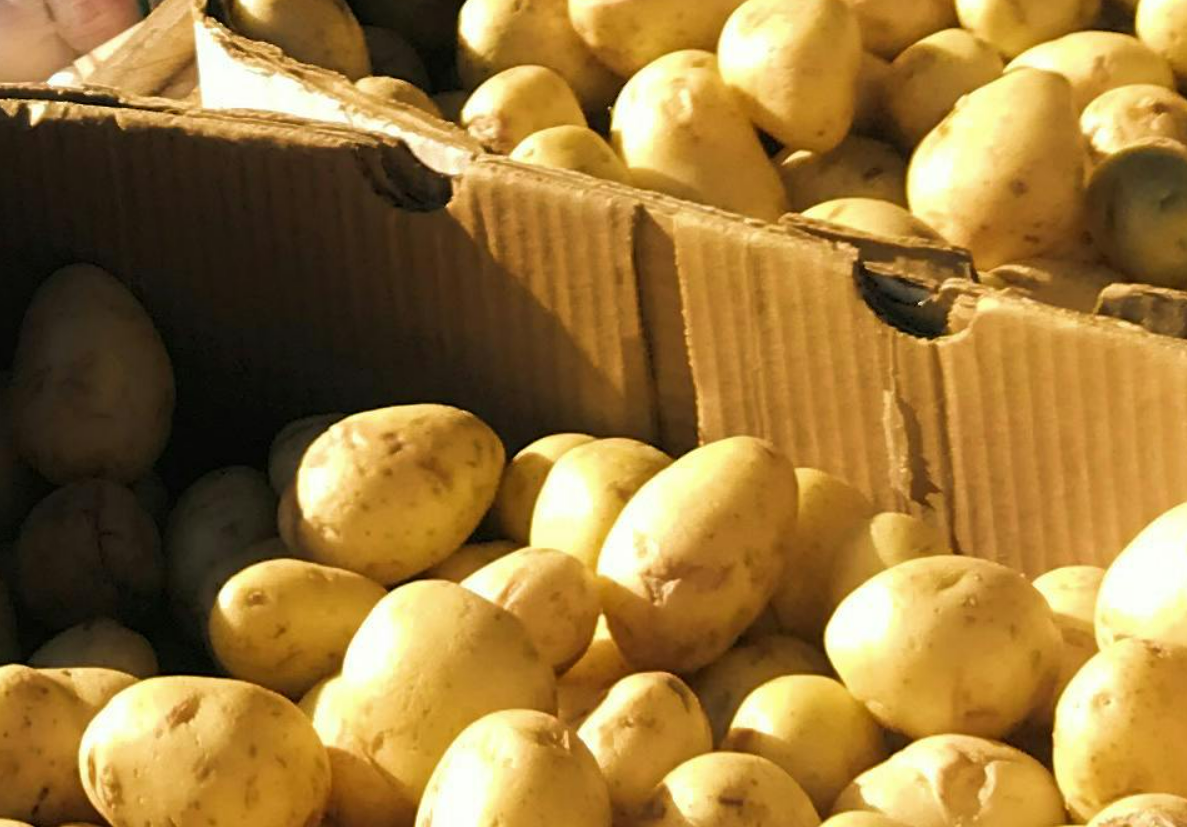 FORECASTING PLATFORM FOR POTATO PRODUCTION - British Potato