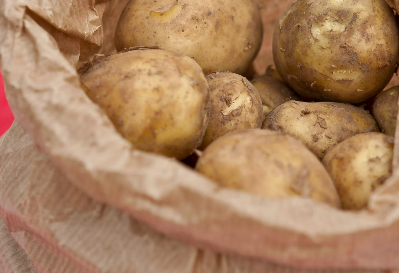 POTATO SUPPLIERS URGED TO ATTEND DEFRA BRIEFING - British Potato