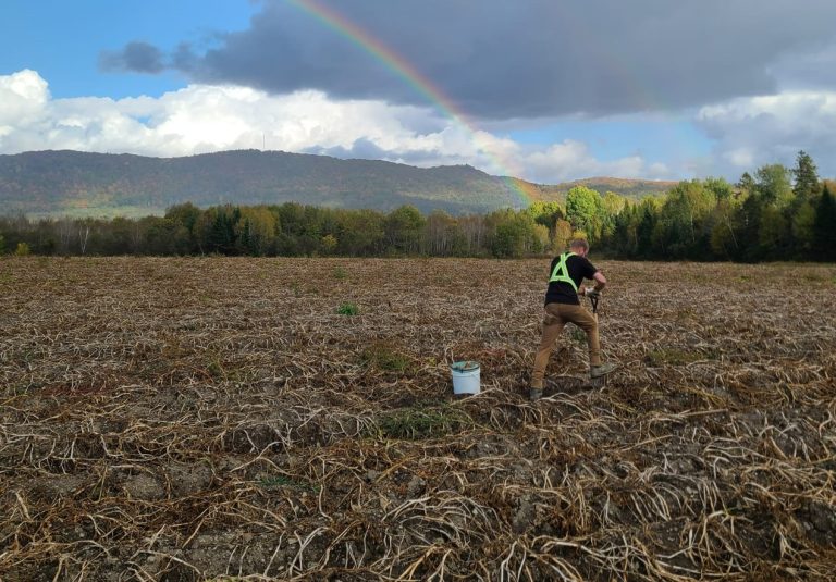 Potato processor's UK Farm of Future begins in 2026 - British Potato